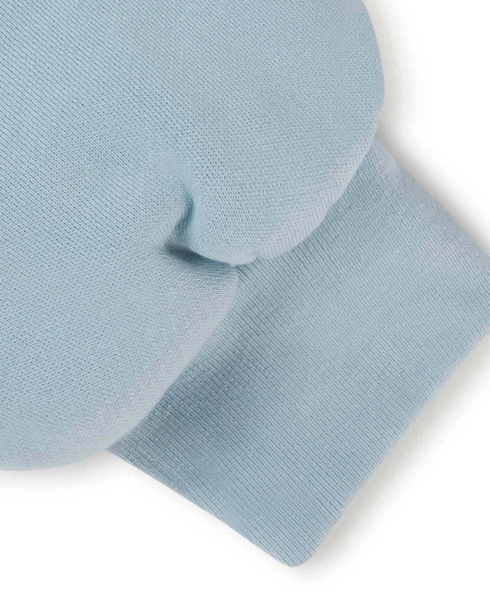 1000 GSM 'Ice Blue' Double Hoodie – Velour Garments